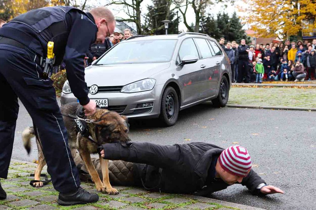 Eröffnung des neuen Zoll Bildungszentrums in Leipzig | SEnews ...
